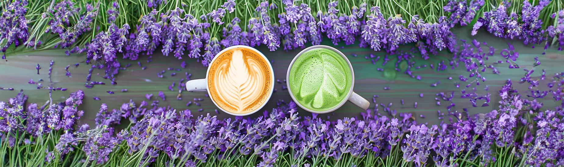 Hampton Coffee Company | Espresso Bars & Small Batch Craft Coffee