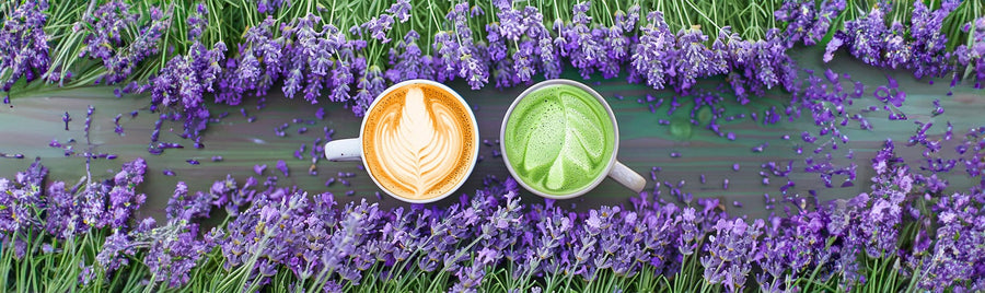 Hampton Coffee Company | Espresso Bars & Small Batch Craft Coffee